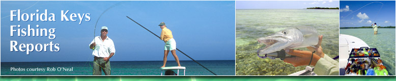Florida Keys Fishing Reports Florida Keys Fishing Reports